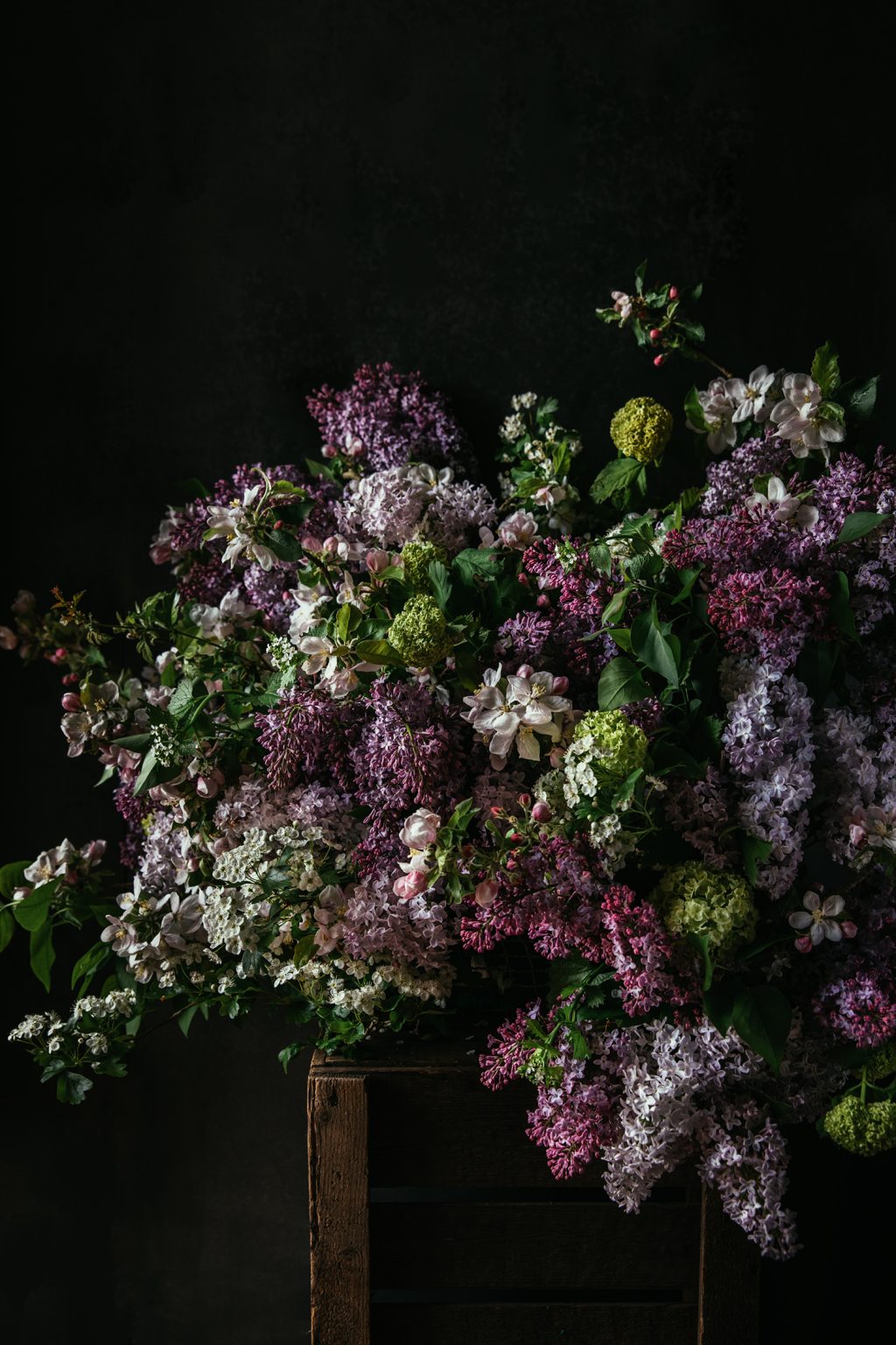 Elise Dumas the Paris based Lifestyle Photographer aka The Pineapple ...