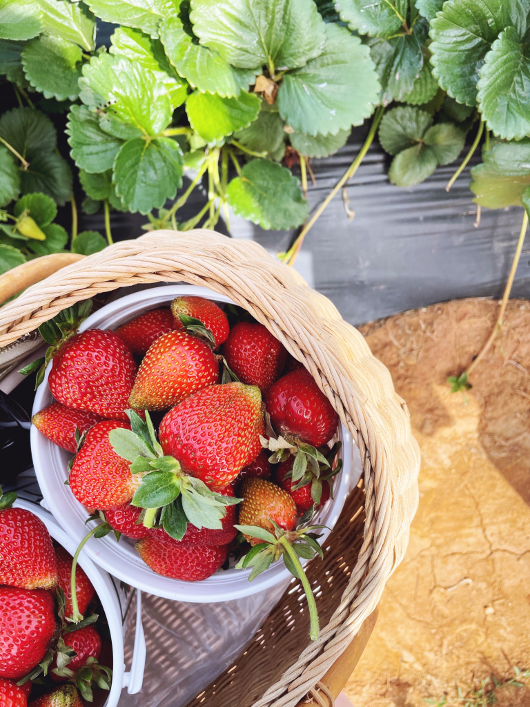 Kelly Pelfrey | Artist Spotlight – The Avid Pen